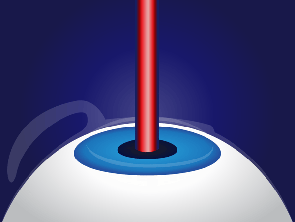 New NBEO Updates for 2018